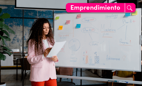 Estrategias de Marketing para PyMes - Dominios .MX